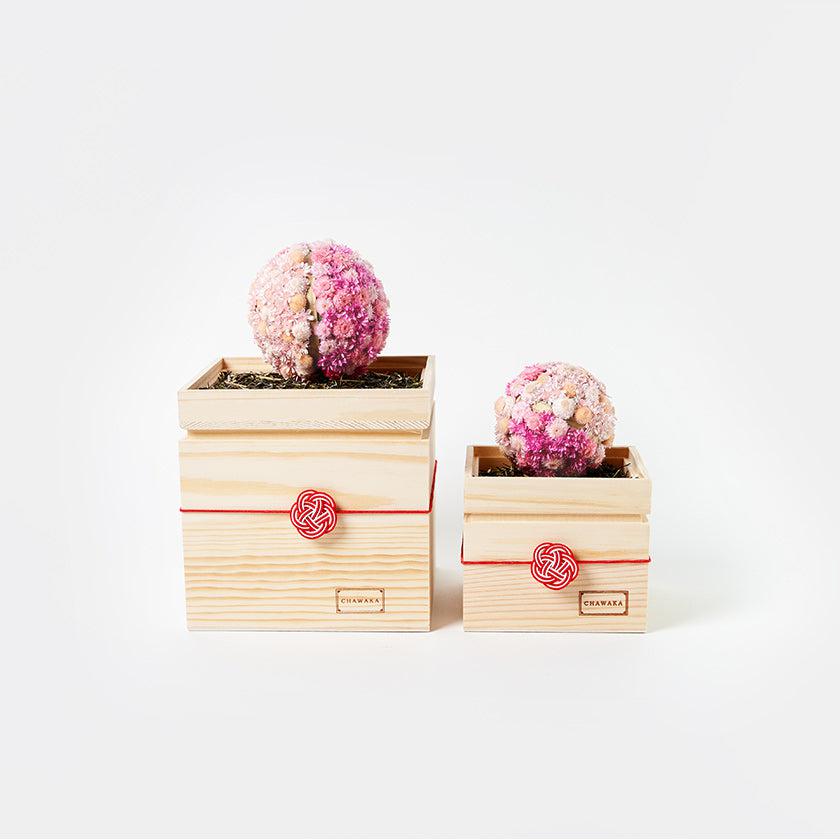 [PRESERVED FLOWER] CHAWAKA MARI SAKURA | UJI TEA AND FLORAL DESIGN| CH ...