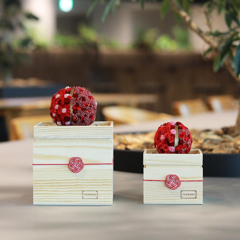 [PRESERVED FLOWER] CHAWAKA MARI RED PLUM | UJI TEA AND FLORAL DESIGN ...