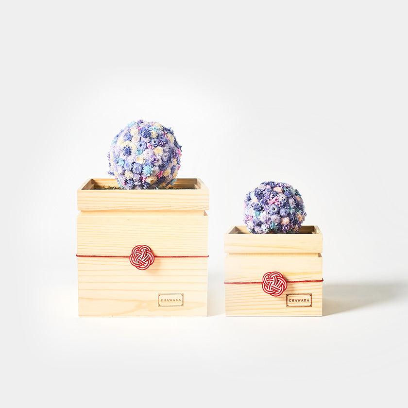 [PRESERVED FLOWER] CHAWAKA MARI KYO-NO SHIZUKU LIGHT BLUE | UJI TEA AN ...